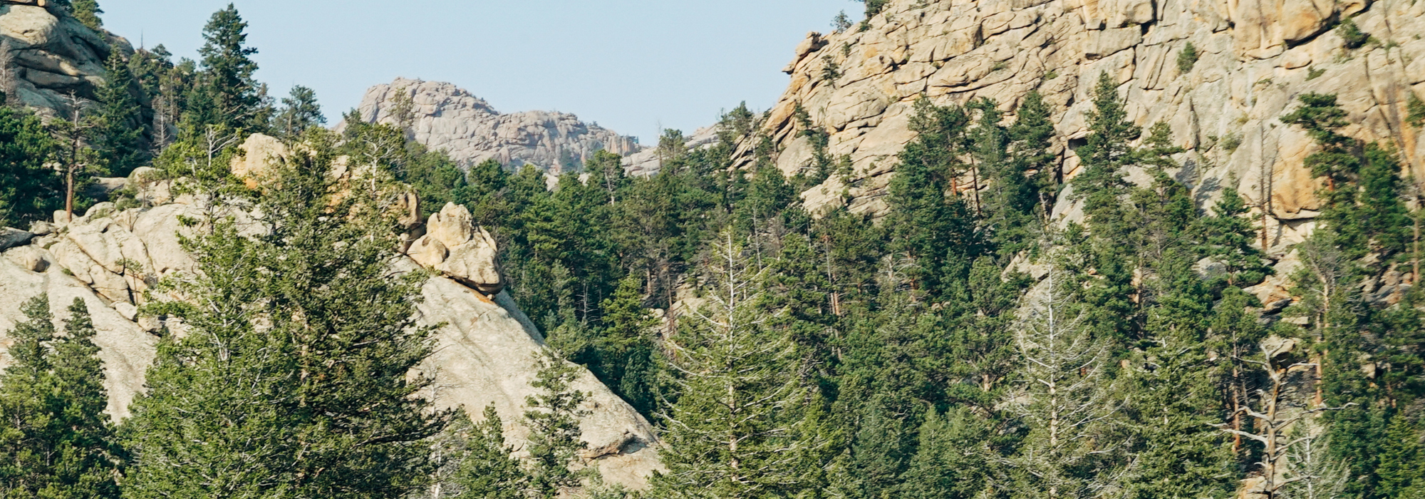 Go Local in Northern Colorado | Riverview RV